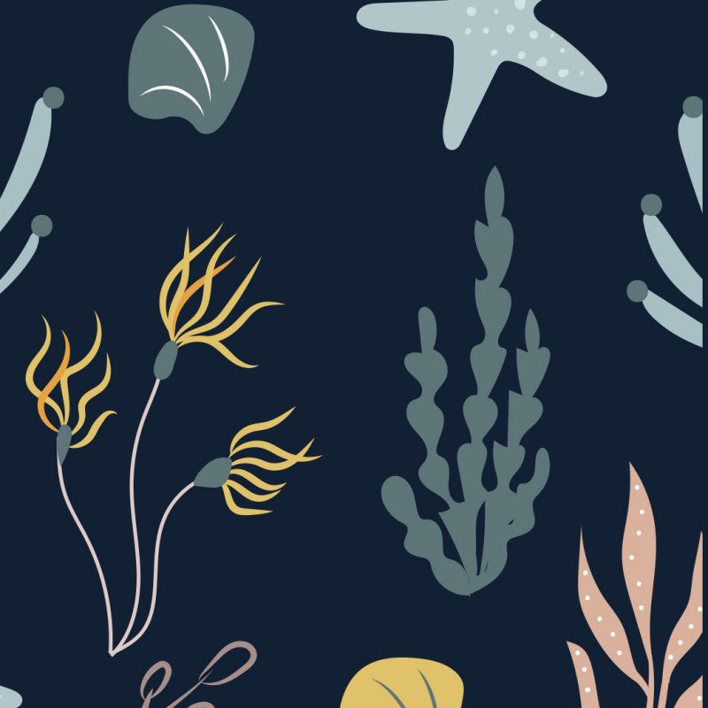 Lé de papier peint aimanté fond marin interchangeable | Ferflex